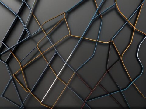 Contact Bee Verifications