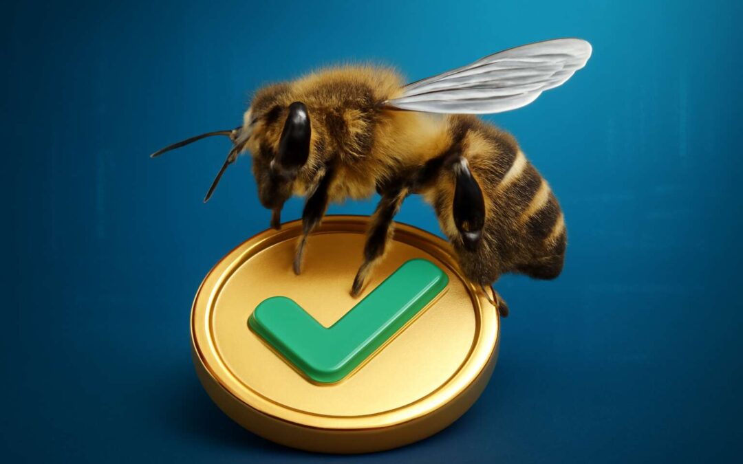 Resources - BEE Verifications